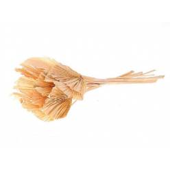 FLORES | almacén de flor - Mayorista de flores. - Preservados, Secos y ...