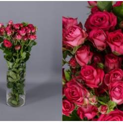 FLORES | almacén de flor - Mayorista de flores. - Flores - Rosas - Rosa ...